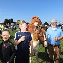 Photos capture success of annual horse fair at Puck | Irish Independent