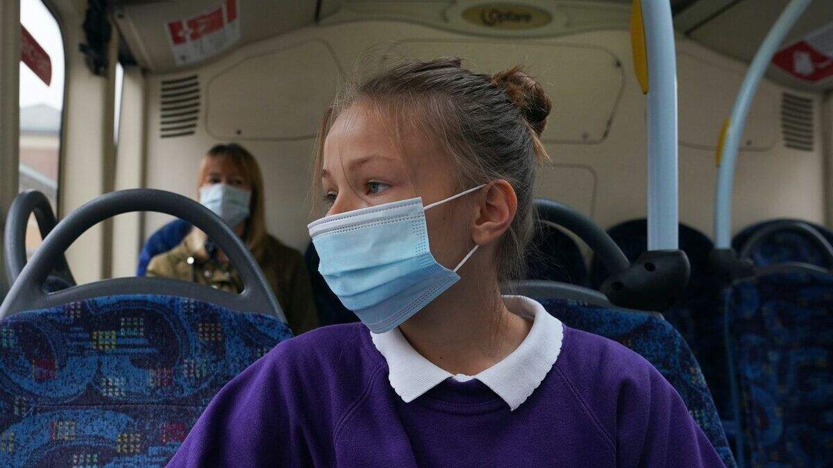 Coronavirus Ireland: School buses to start running without social ...