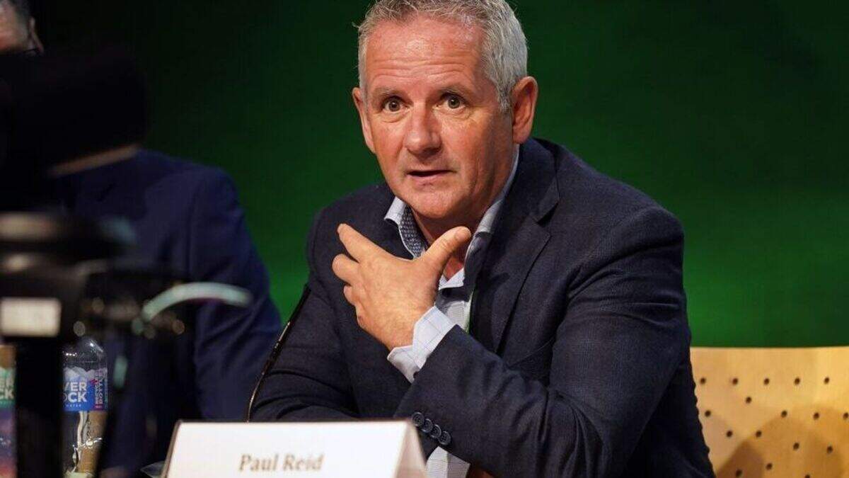 Decriminalise personal-use possession of narcotics, says chair of ...