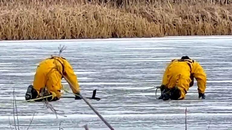 Firefighters crawl across frozen lake to rescue deer | Irish Independent