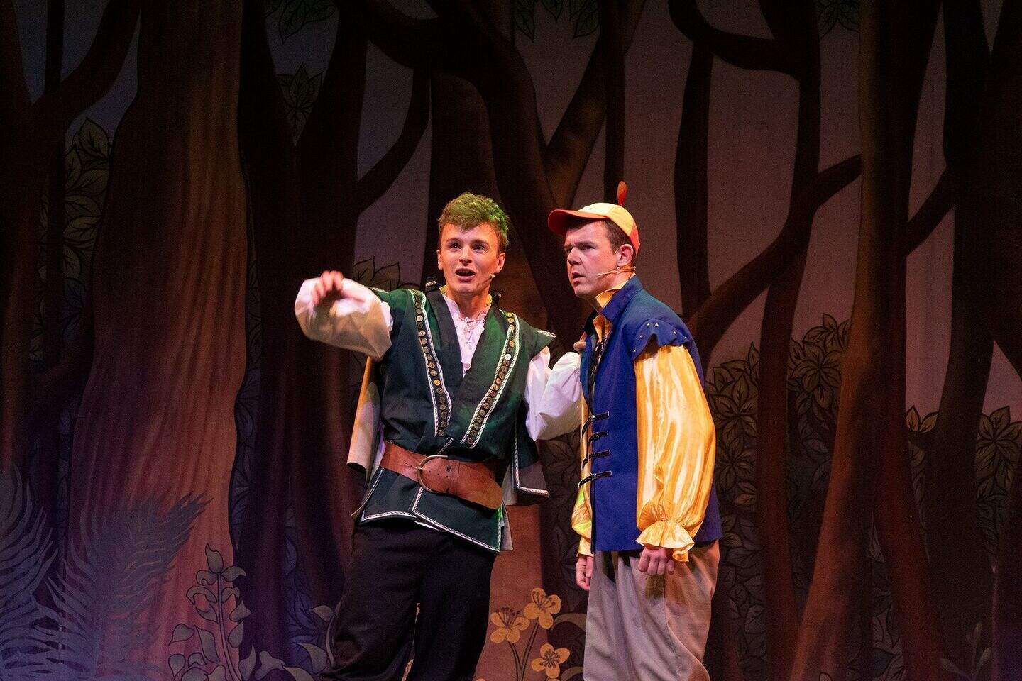 Wexford Pantomime Society’s ‘Rapunzel and the League of Princesses’ is ...