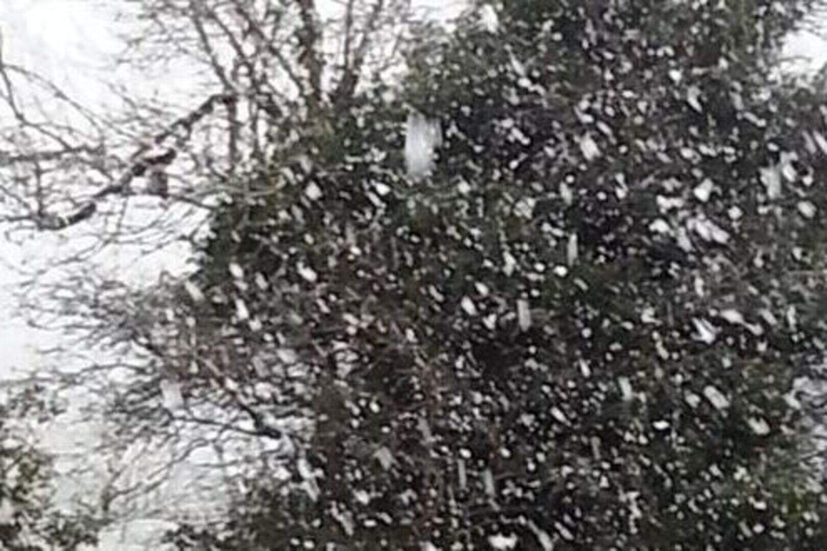 Independent.ie readers snow pics - in March! | Irish Independent