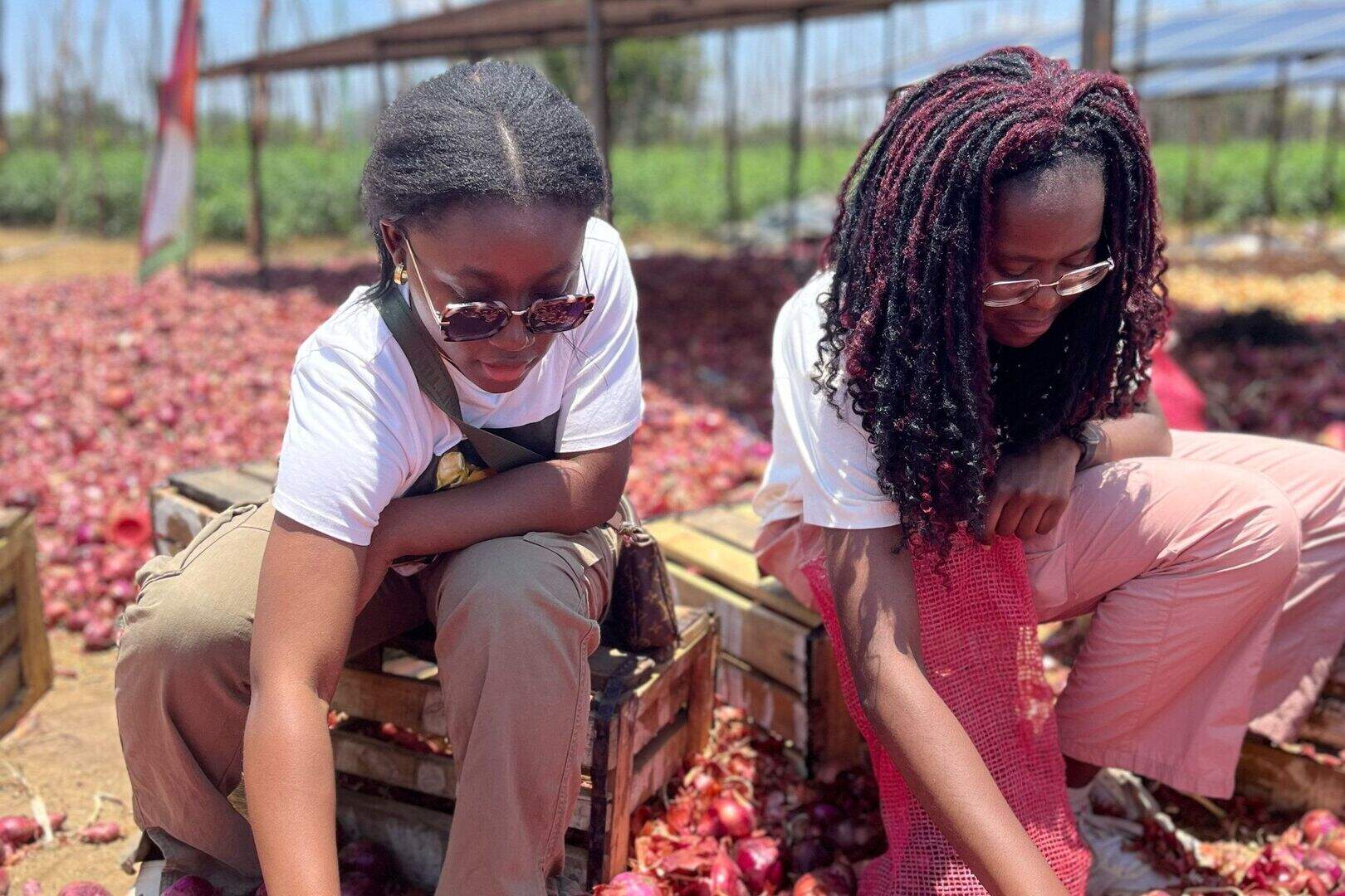 Louth students enjoy special experience in Africa on BT Young Scientist ...