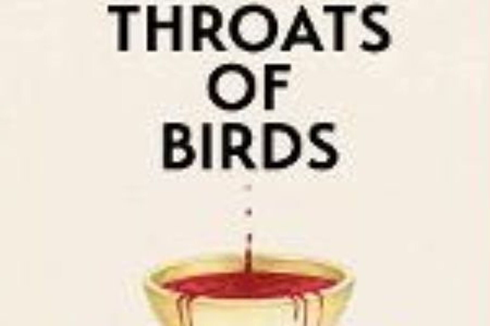 Throats of Birds review: Aoife Feeney's elegant yet terrifying portrait ...