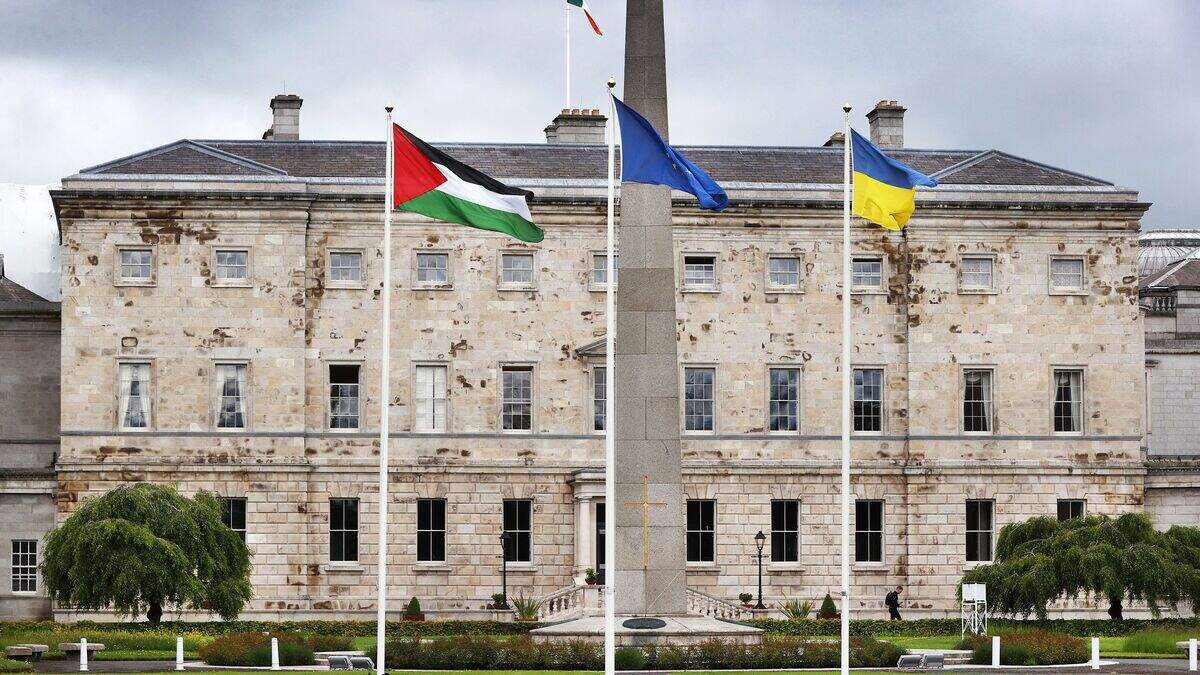 Palestinian flag taken down from Leinster House | Irish Independent