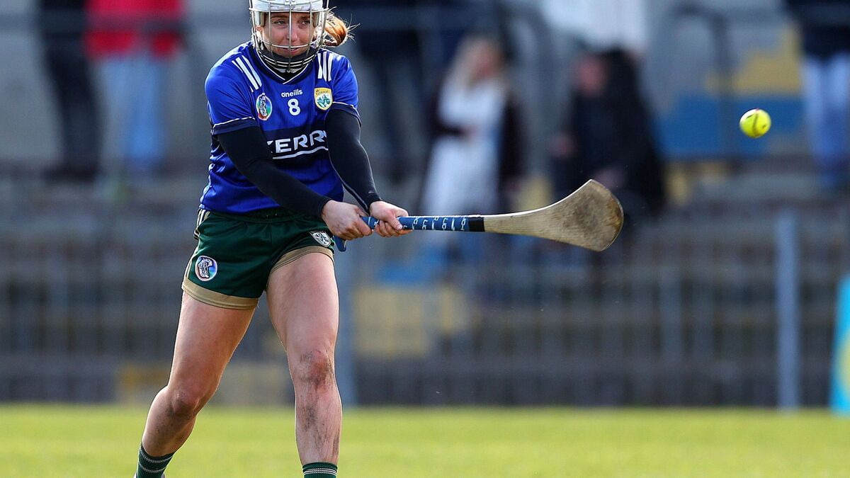 Kerry have a ‘shot to nothing’ on their senior camogie debut against ...