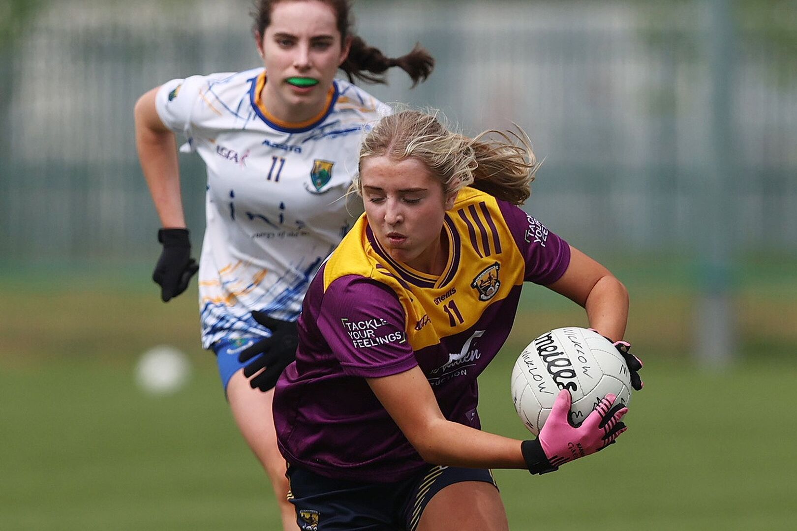 Impressive Wicklow fulfil promise as they blitz Wexford in Leinster ...