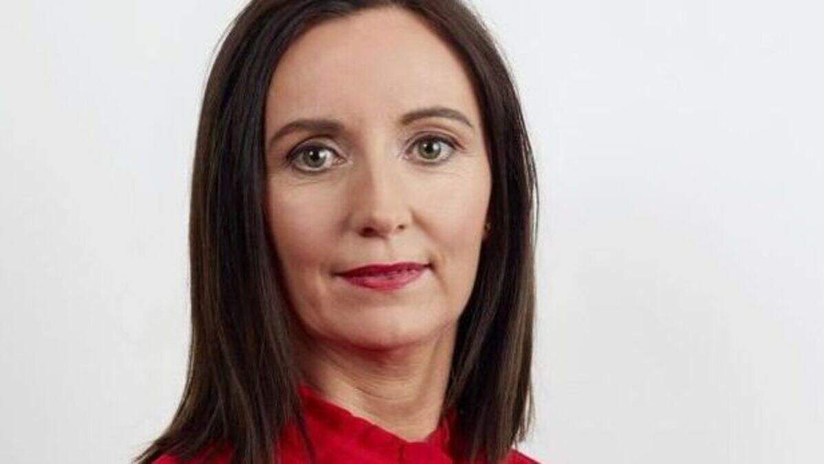 Corina Johnston calls for consultation on future use for former Credit ...
