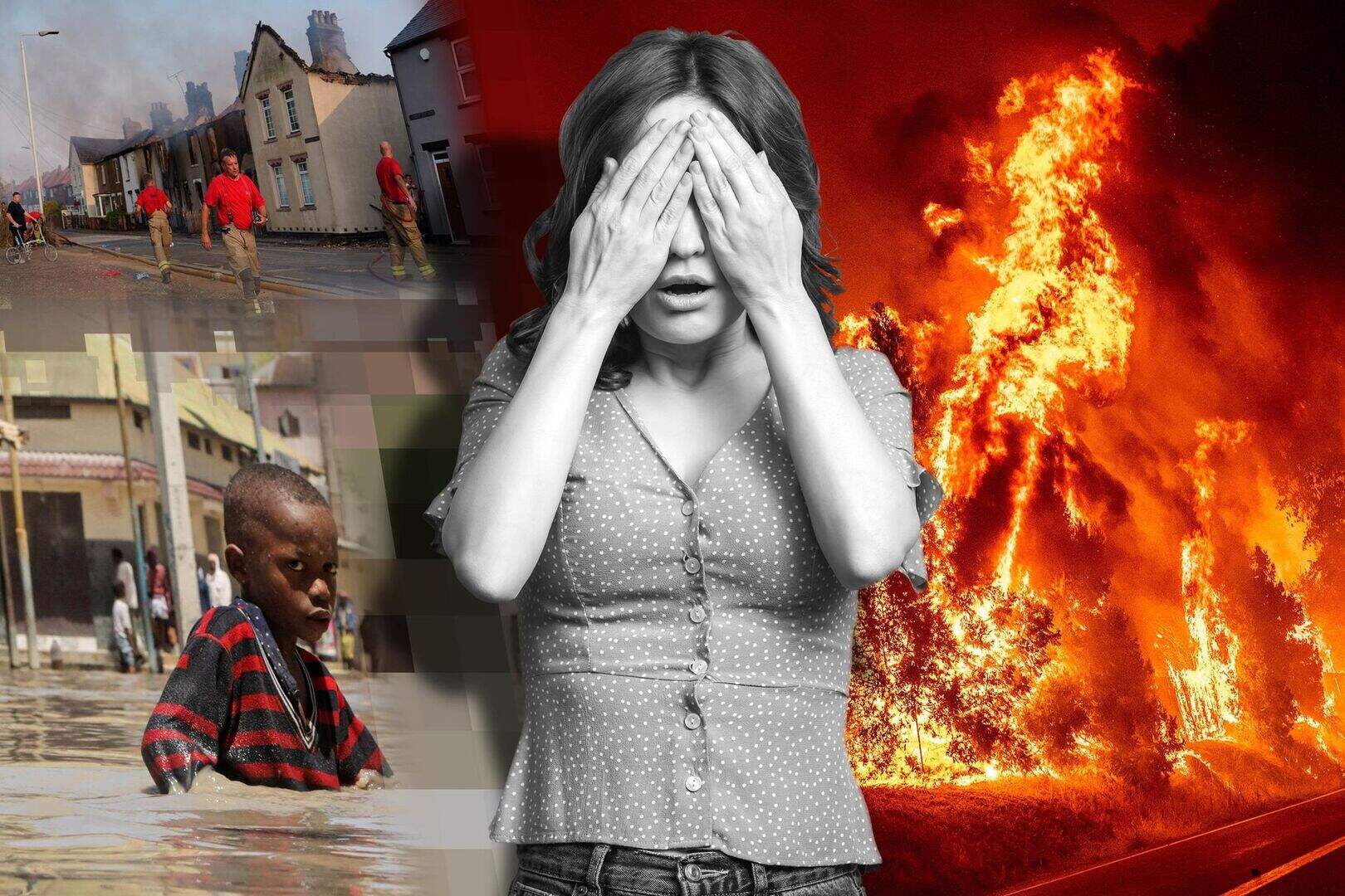 Climate terror could paralyse us — or Ireland could be a leader for ...