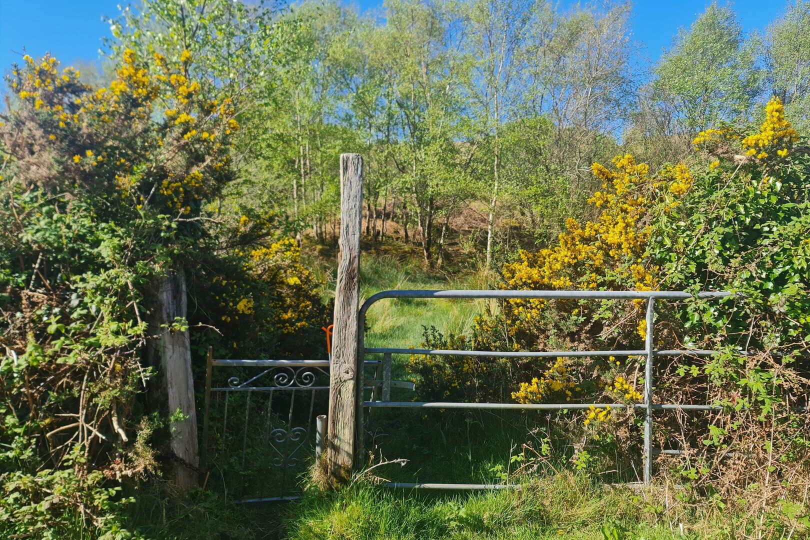 Sign missing at ‘mystical’ Kerry monument with fears it may be being ...