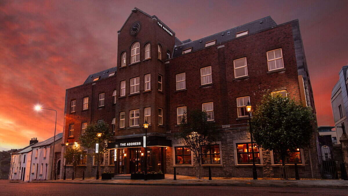 Leitrim distillery teaming up with Sligo hotel for curated journey ...