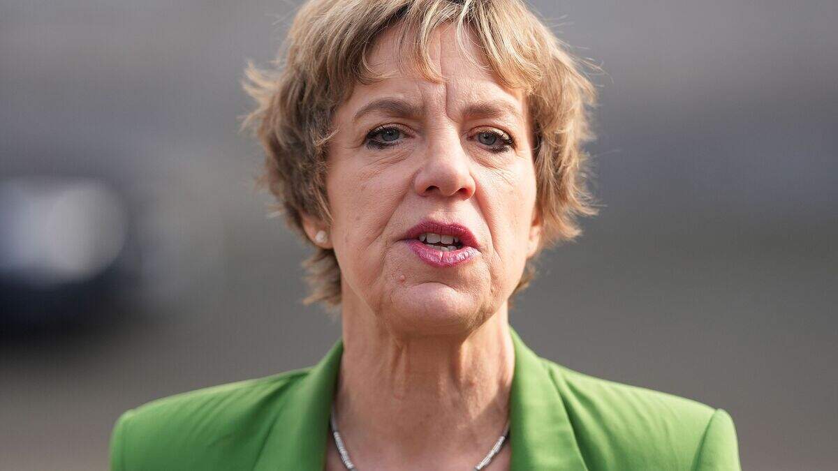 Mary Regan: Labour Party was notably absent when Áras pick Catherine ...