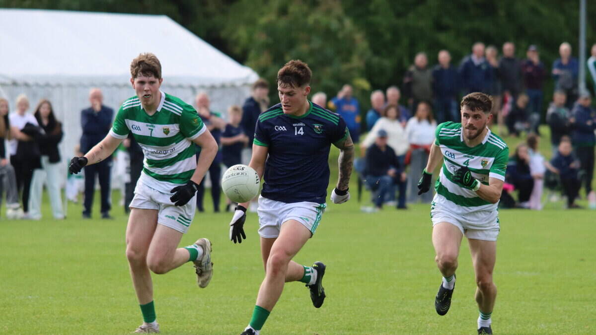 Louth GAA FL Division 2 Round-up: Walsh in sizzling form for Fechins as ...