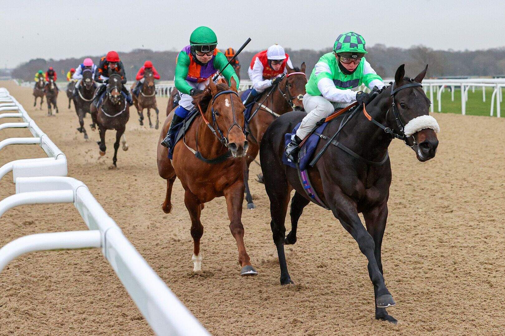 Sky Racing threatens to quit Ireland over gambling adverts Bill | Irish ...