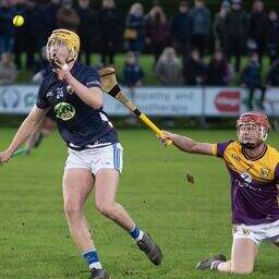 Wexford GAA results and fixtures | Irish Independent