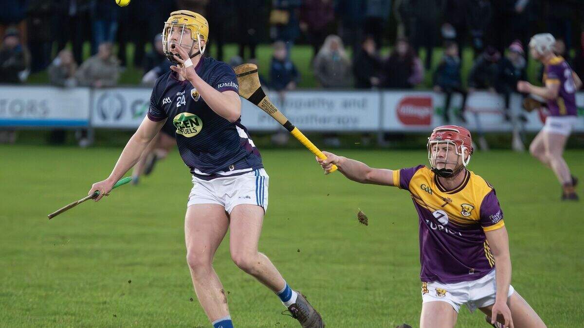 Wexford GAA results and fixtures | Irish Independent