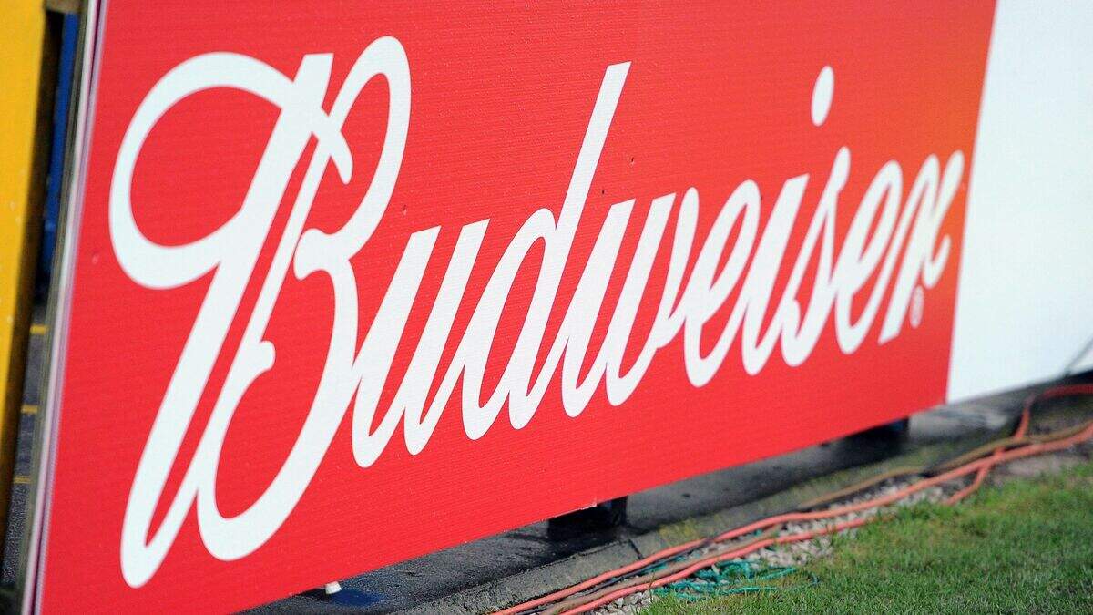AB InBev to raise up to £7.8bn in listing for Asian arm | Irish Independent