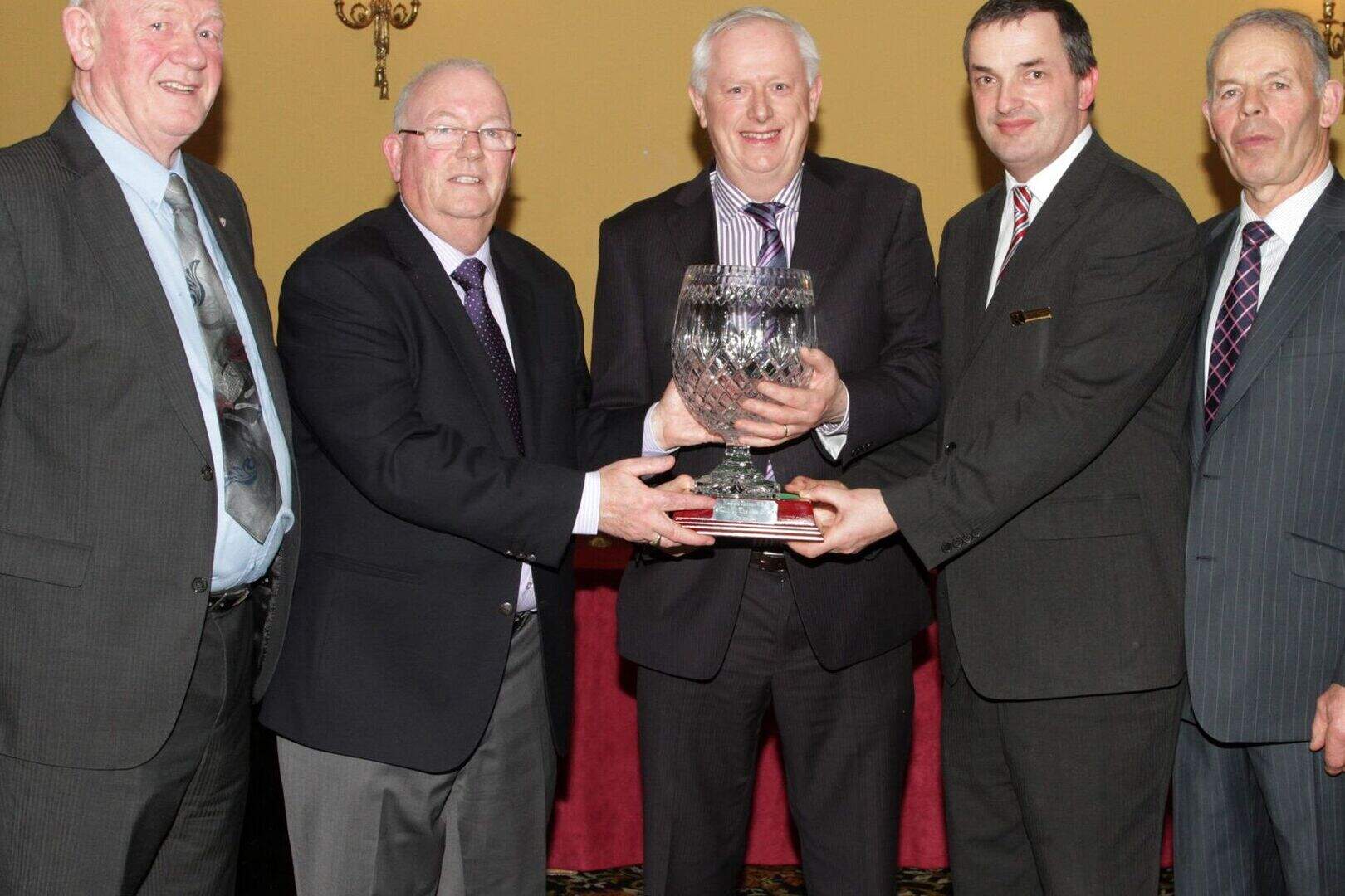 Wexford GAA District Club awards | Irish Independent