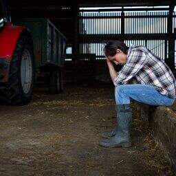 What is causing the increase in farmer divorce and separation? | Irish ...