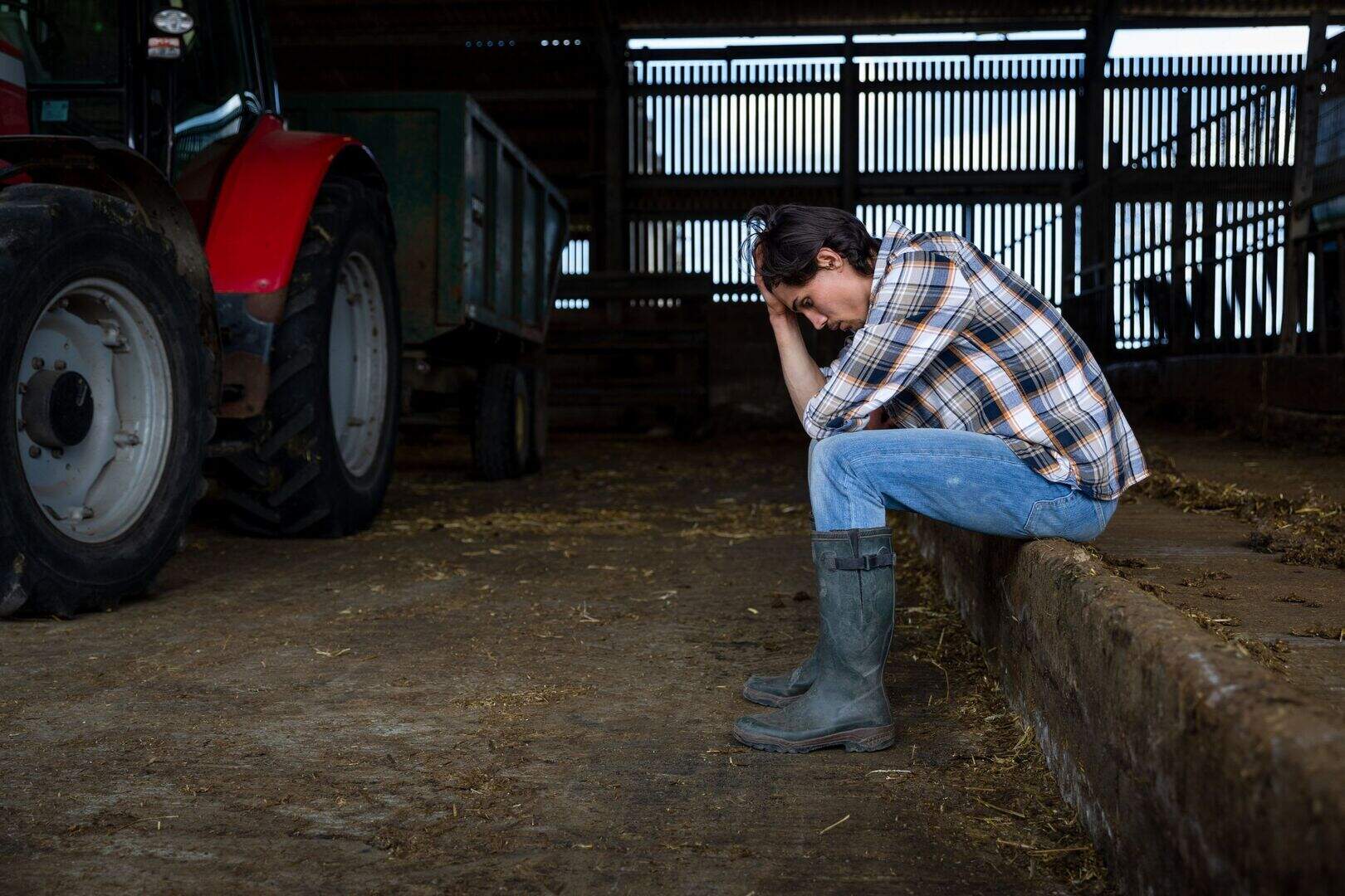 What is causing the increase in farmer divorce and separation? | Irish ...