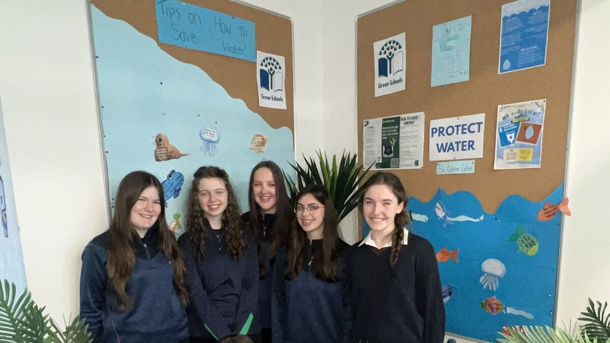 Wexford school celebrates after being awarded another Green Flag for ...