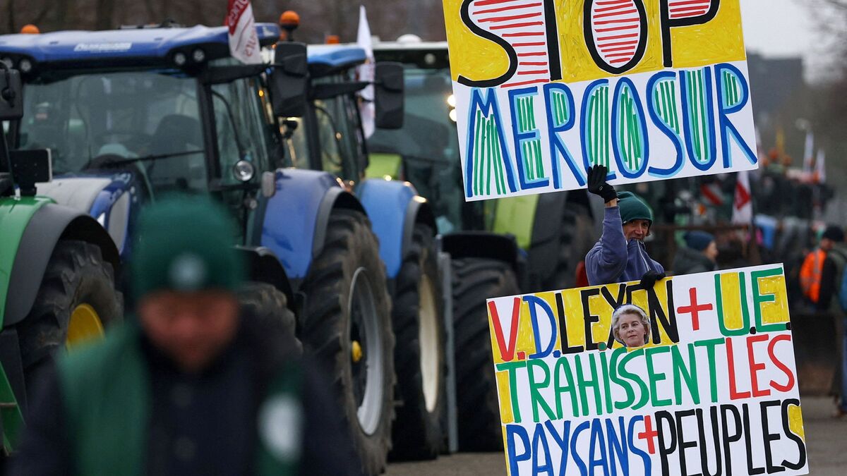 EU-Mercosur deal kicks in today: here are the changes – and what does ...