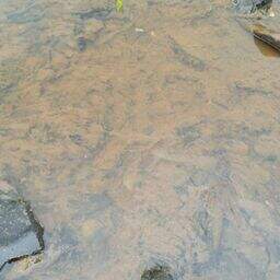 Investigations ongoing after Cork river polluted just over year after ...