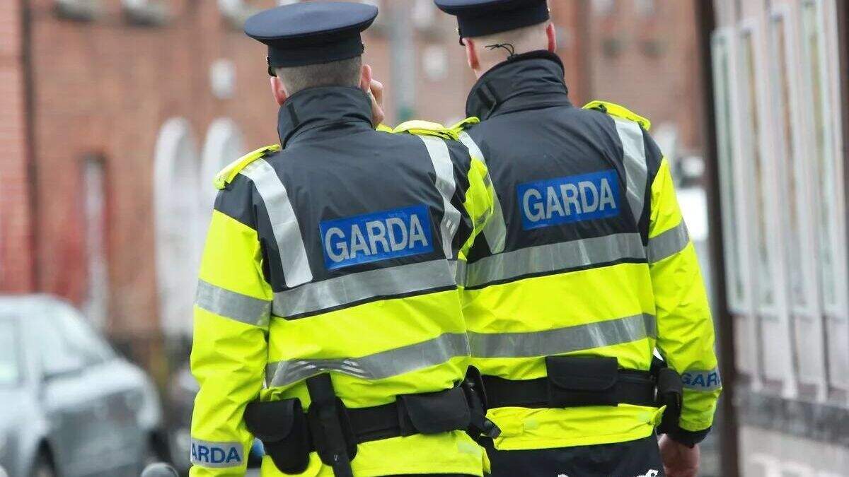 GRA says ‘little or no strategy’ to boost garda numbers despite Budget ...