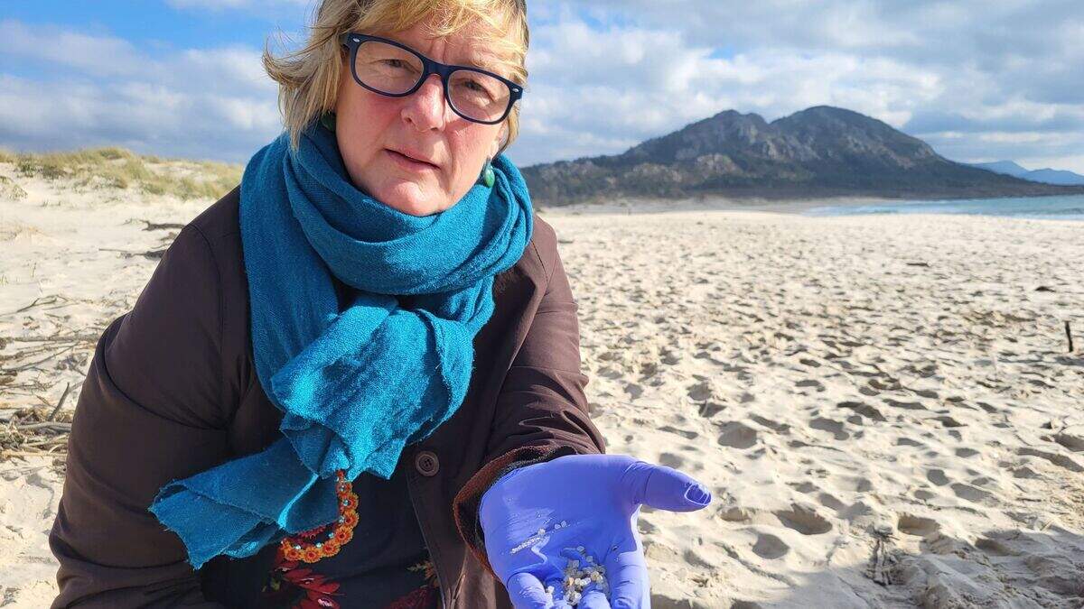 Battle to save Spain’s beaches and marine life as row intensifies over ...