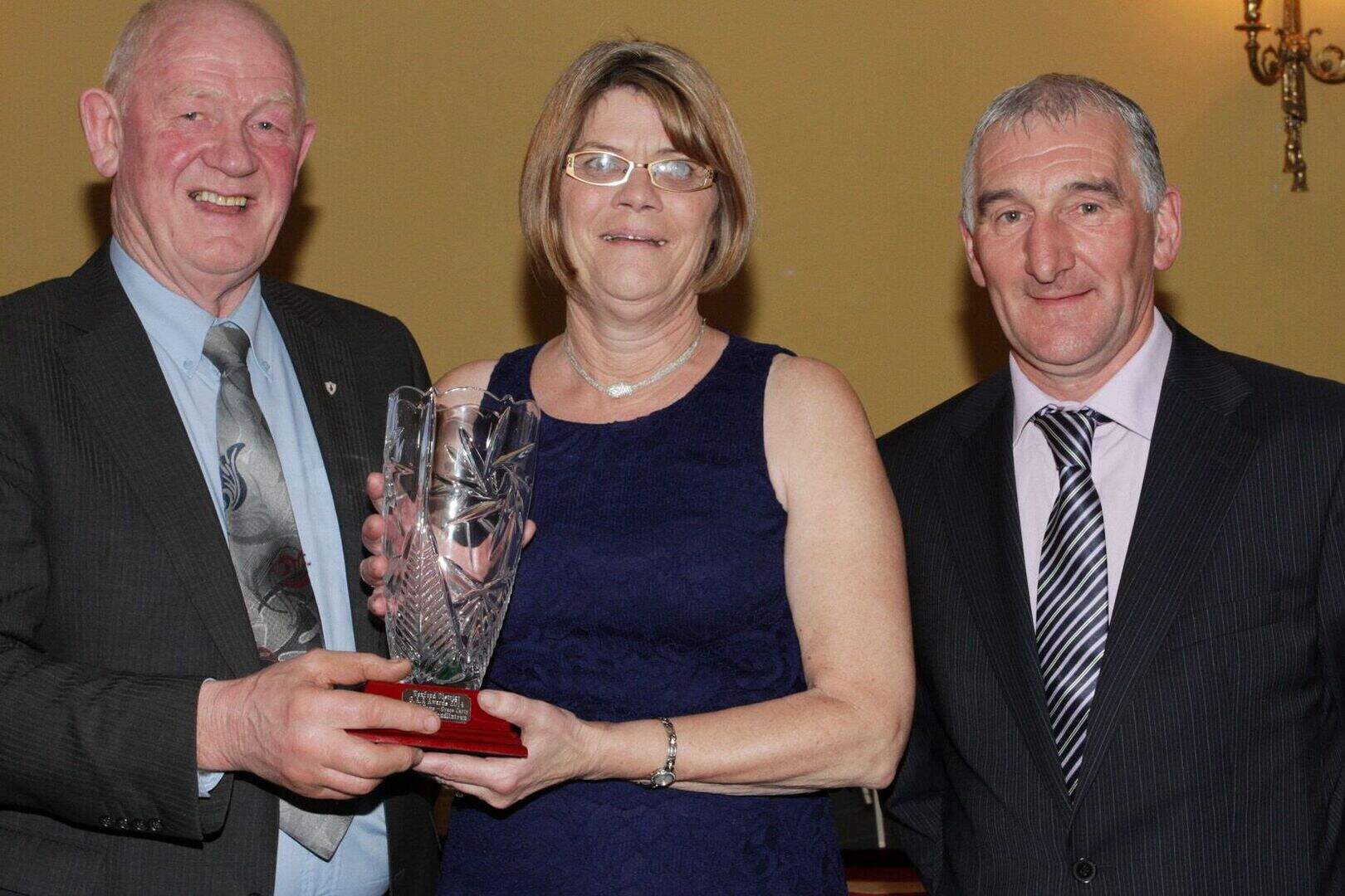 Wexford GAA District Club awards | Irish Independent