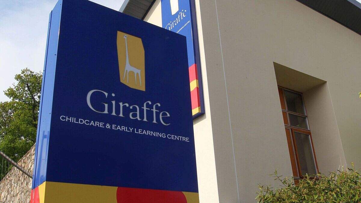 Canadian pension fund company paid €30m for Giraffe | Irish Independent