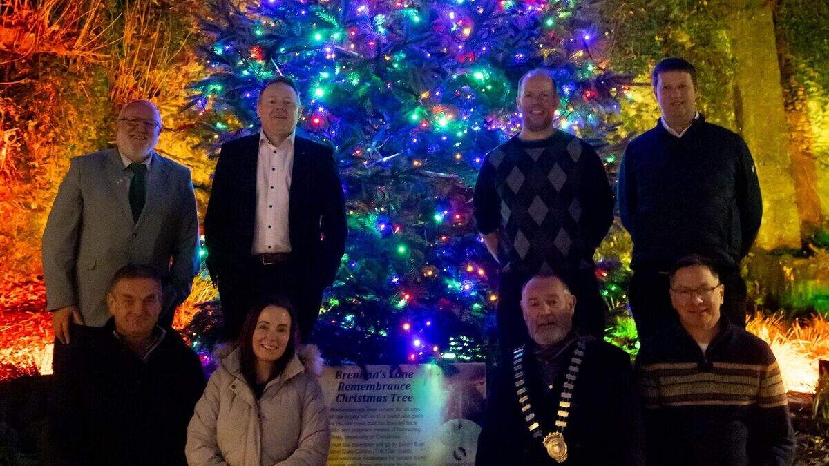 Donations from Wexford remembrance tree will support cancer services at ...