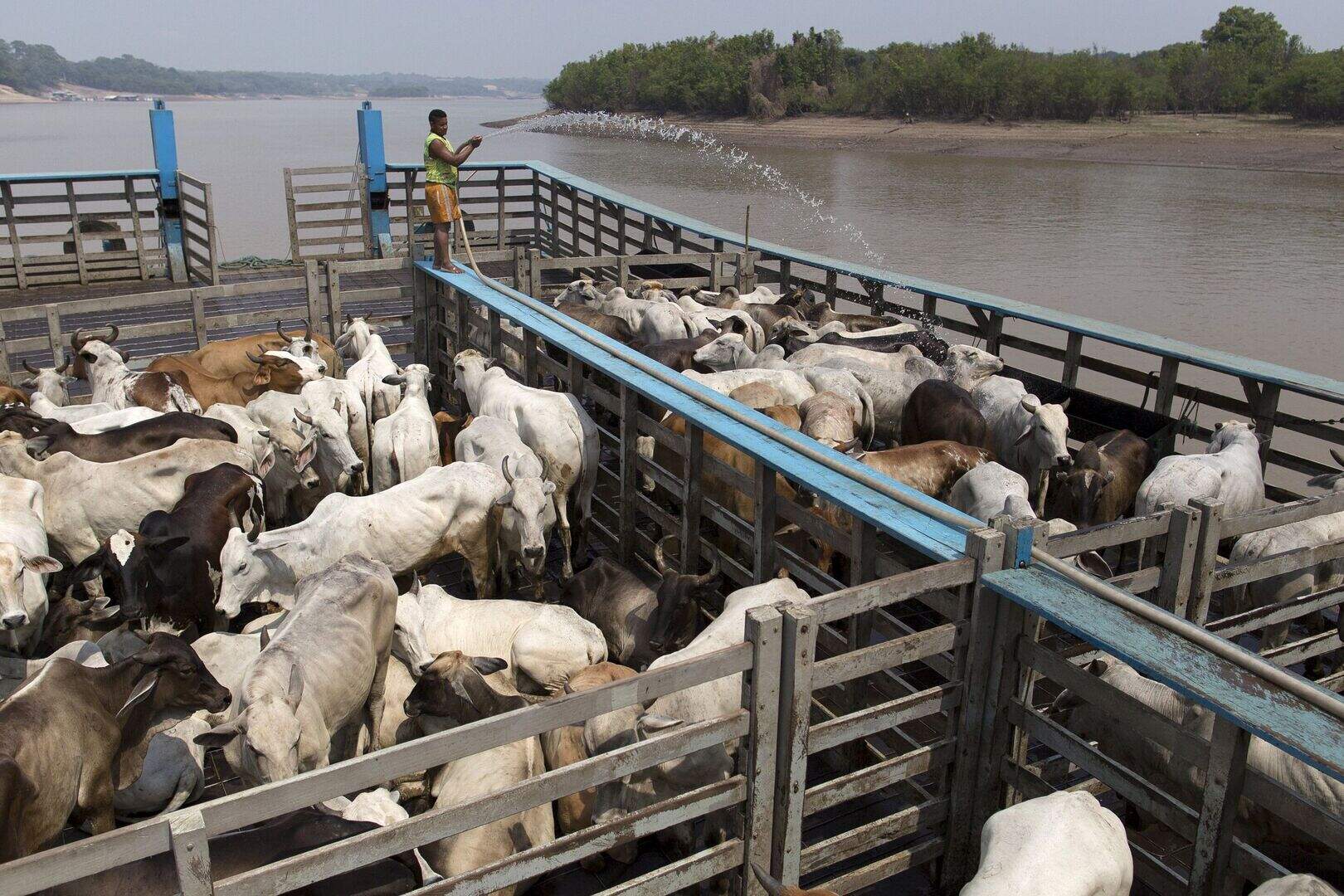 US says no timeline in place to restore Brazil beef imports | Irish ...