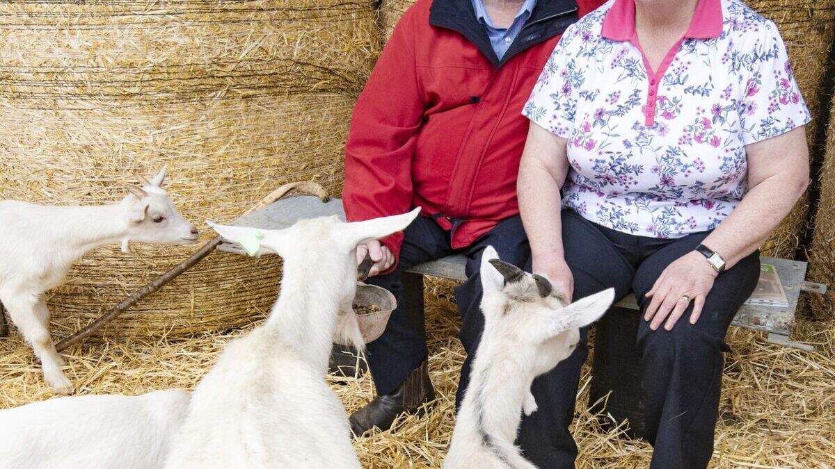 Couple don't kid about with 1,000 goats for charity | Irish Independent