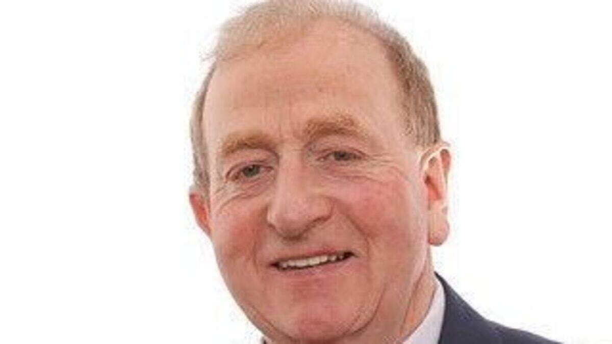 Carlow councillors already showing their teeth as new Cathaoirleach ...