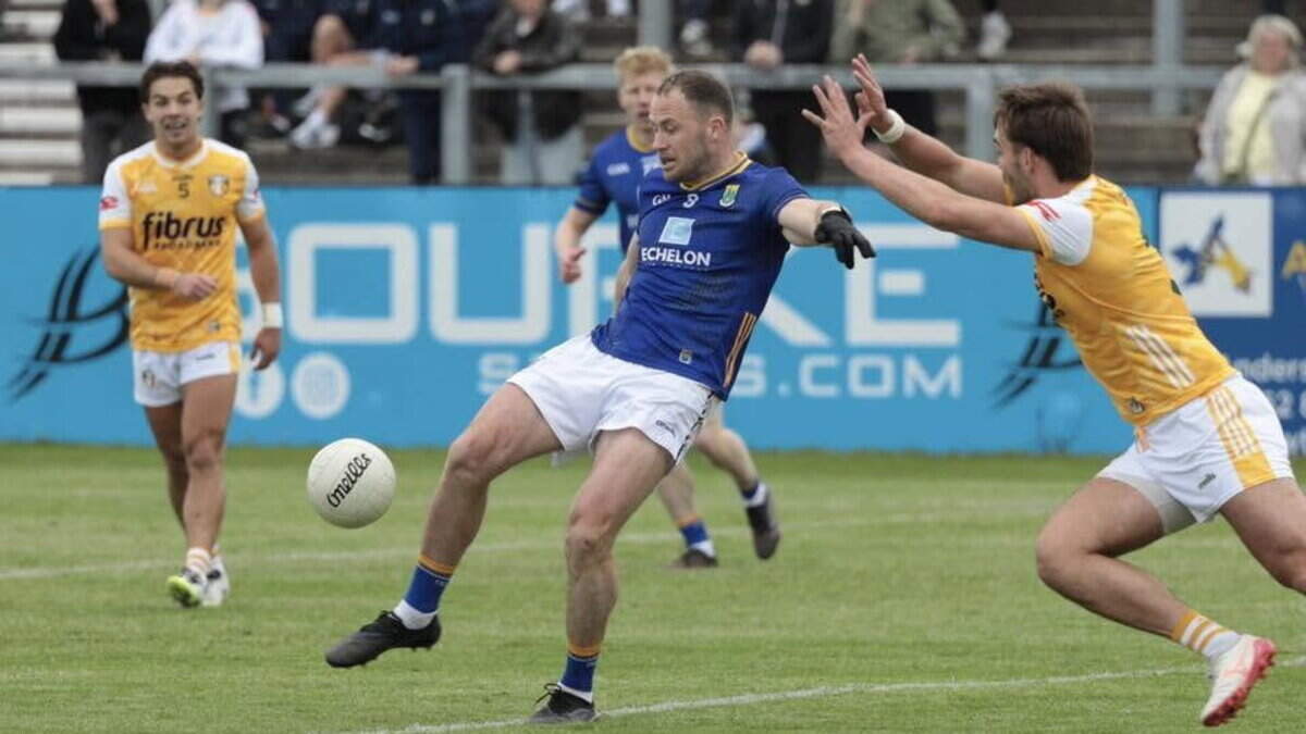 Wicklow reach Croker again as Healy completes stunning comeback | Irish ...
