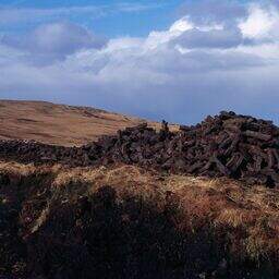 Liam Gorman and Bord na Móna accuse each other of trespass on land they ...