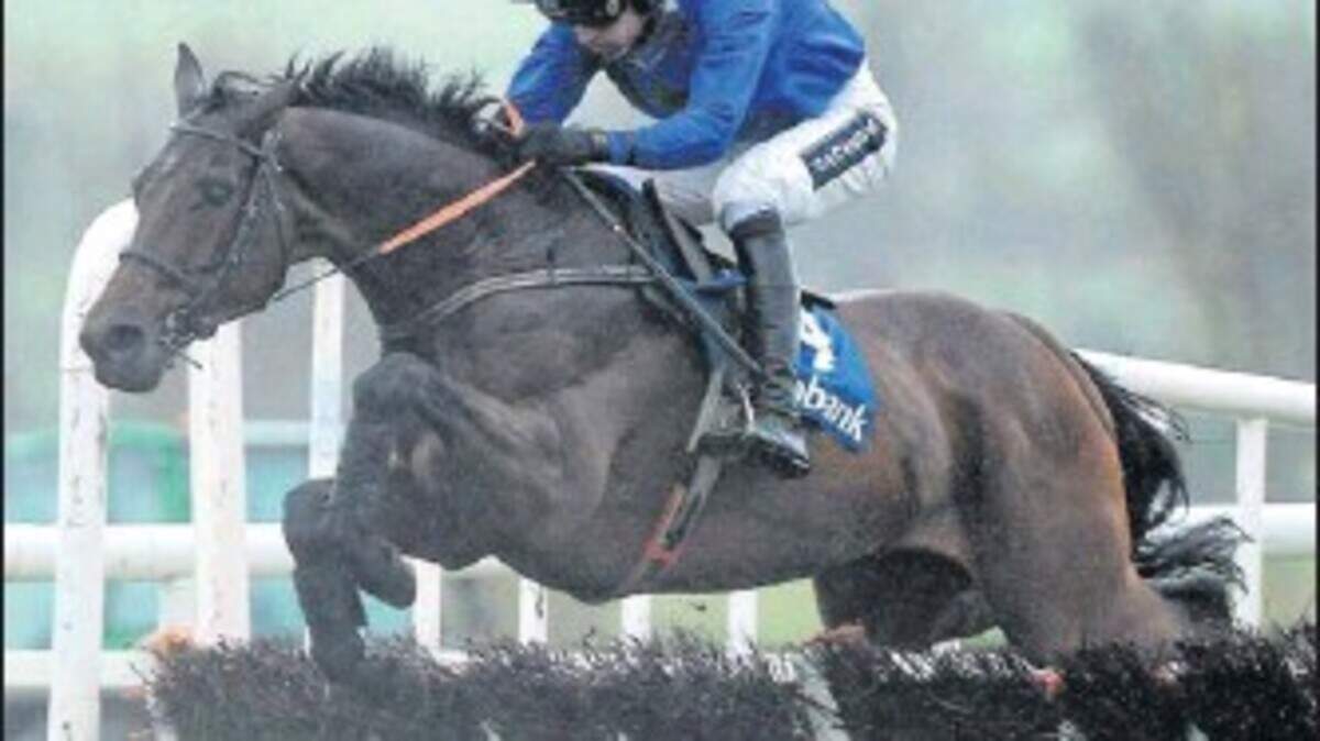 Enticing young people to go racing | Irish Independent