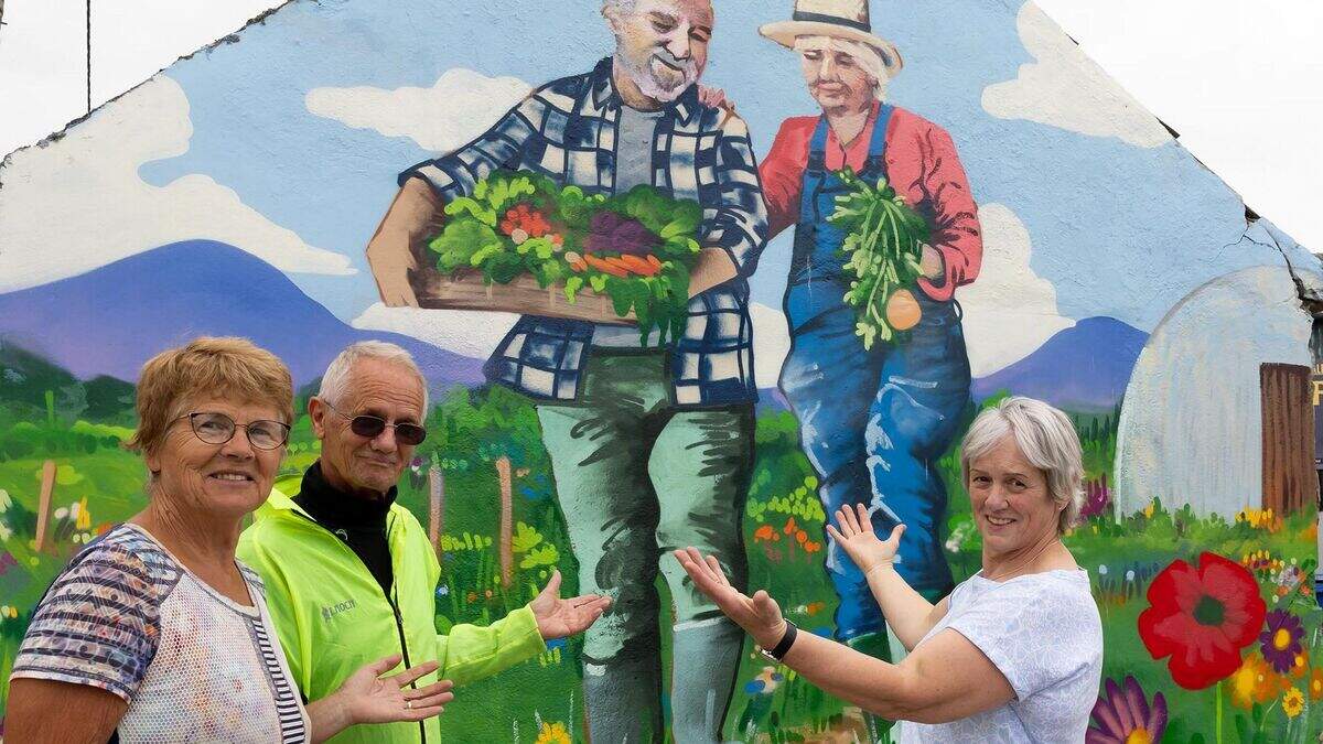 Ballycullane Tidy Towns add splash of colour to the village | Irish ...