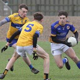 Impressive Avondale Community College secure South Leinster glory ...