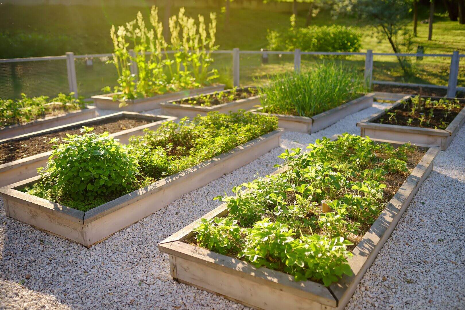 Urban Farming Has a Surprisingly High Climate Toll | Irish Independent