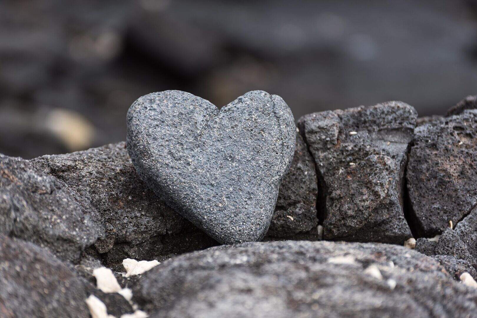 ‘I have two separate small collections: my happy stones and my sad ...
