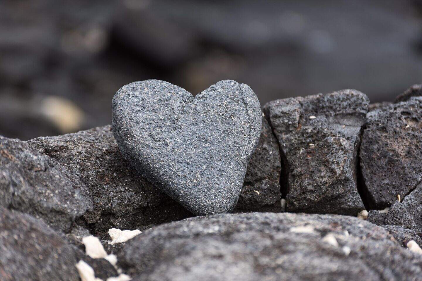 ‘I have two separate small collections: my happy stones and my sad ...
