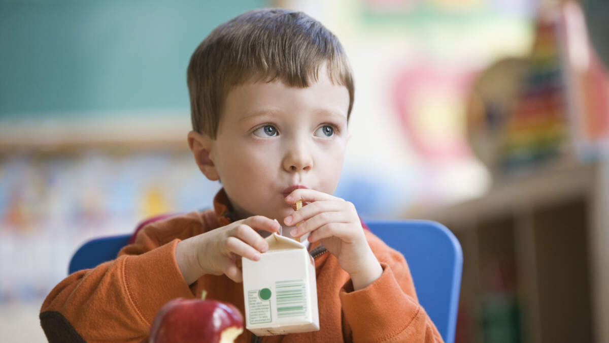 Mary McCarthy: The school milk scheme has done a lifetime of good – let ...