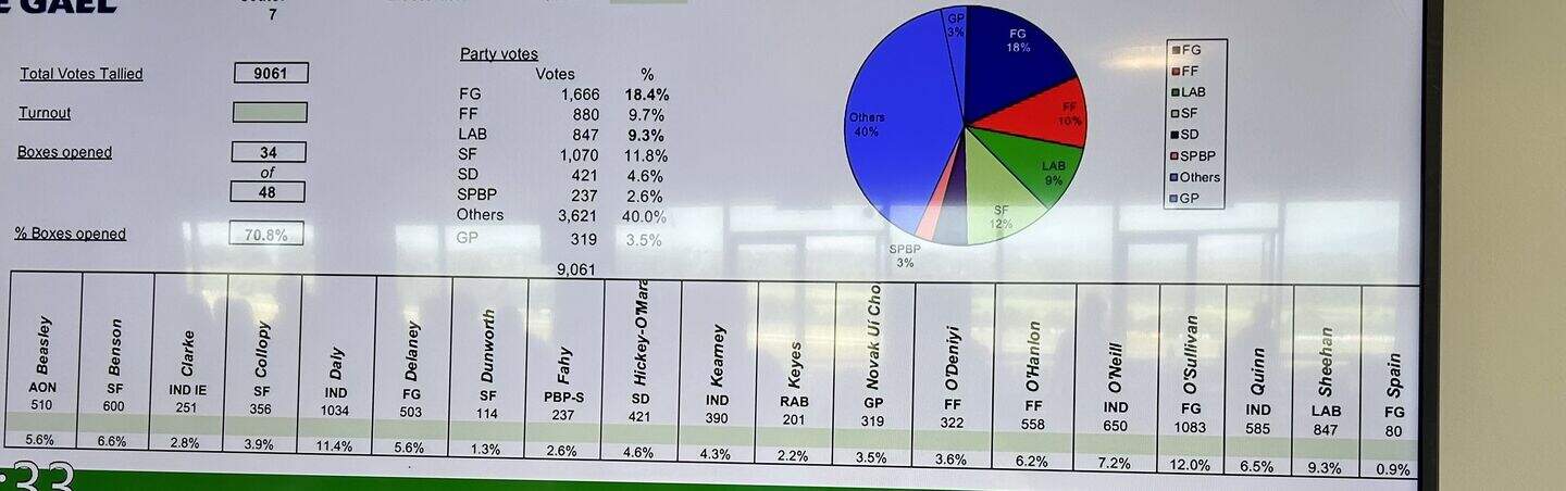Local elections 2024 Limerick: Fine Gael leads the way with 13 seats on ...