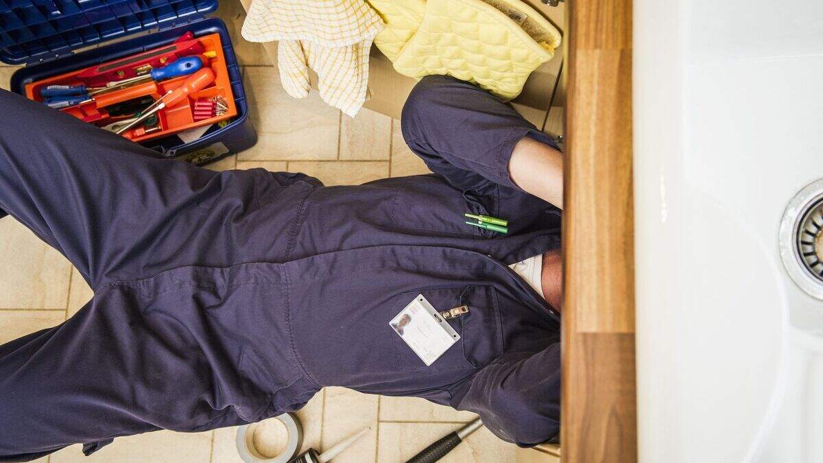 How much should I expect to pay for a plumber, carpenter or other ...