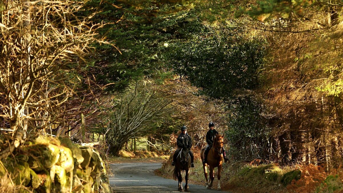 Ireland weather: Met Éireann forecast mild but mixed weather over ...