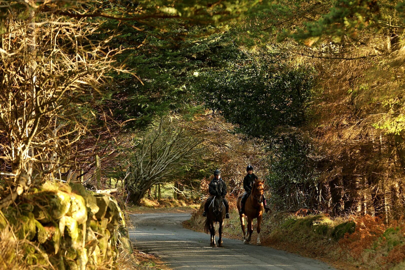 Ireland weather: Met Éireann forecast mild but mixed weather over ...