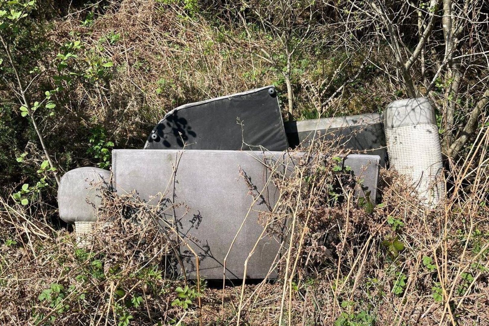 Laois bog being used as dumping zone for household waste and dead ...