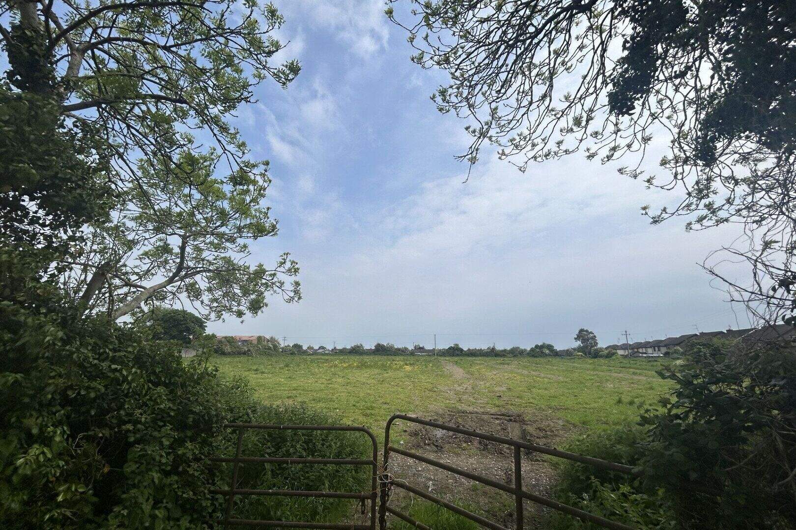 Plans for 130 Louth Council housing units at ‘Harty’s Field’ | Irish ...